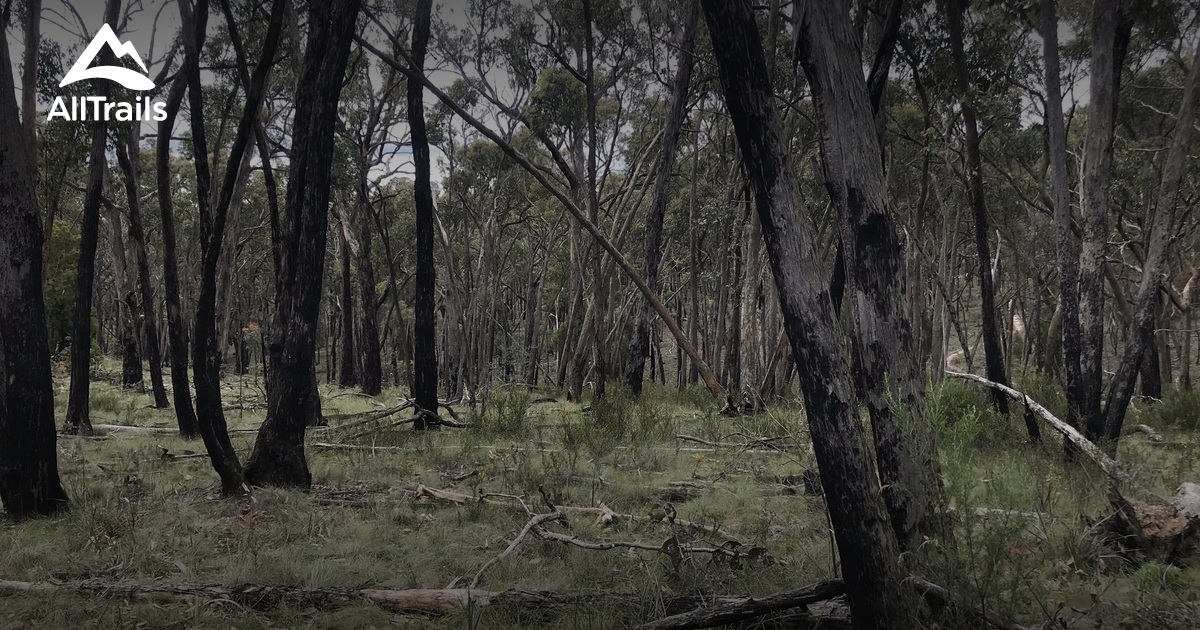 Best mountain biking trails in Creswick | AllTrails