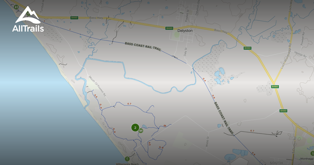 Best forest trails in Dalyston | AllTrails