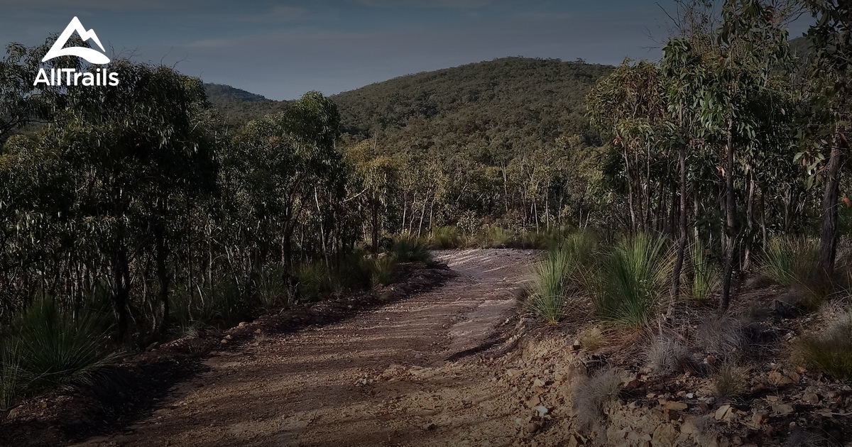 Best hikes and trails in Darley | AllTrails