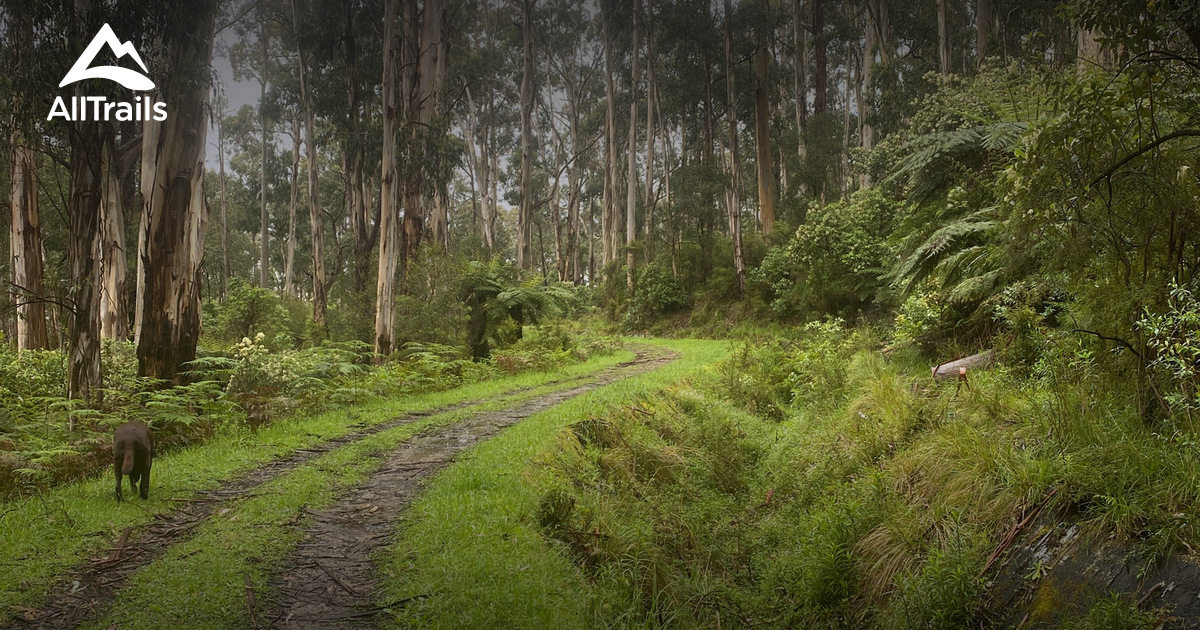 Best hikes and trails in Don Valley | AllTrails