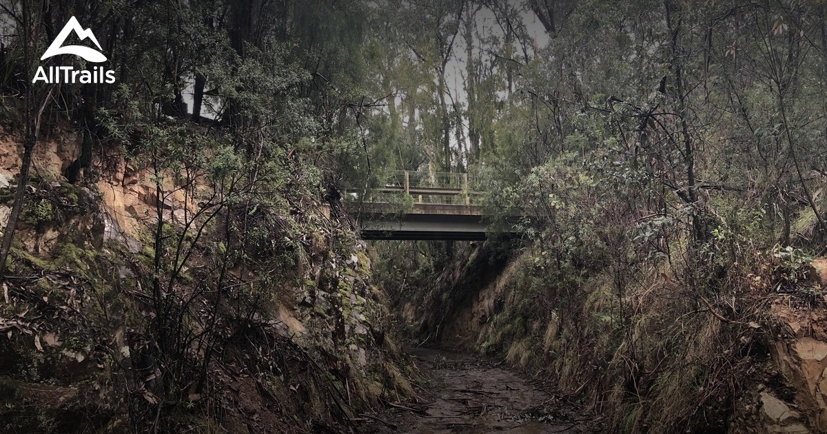 2023 Best Trails, Walks, and Paths in Erica | AllTrails