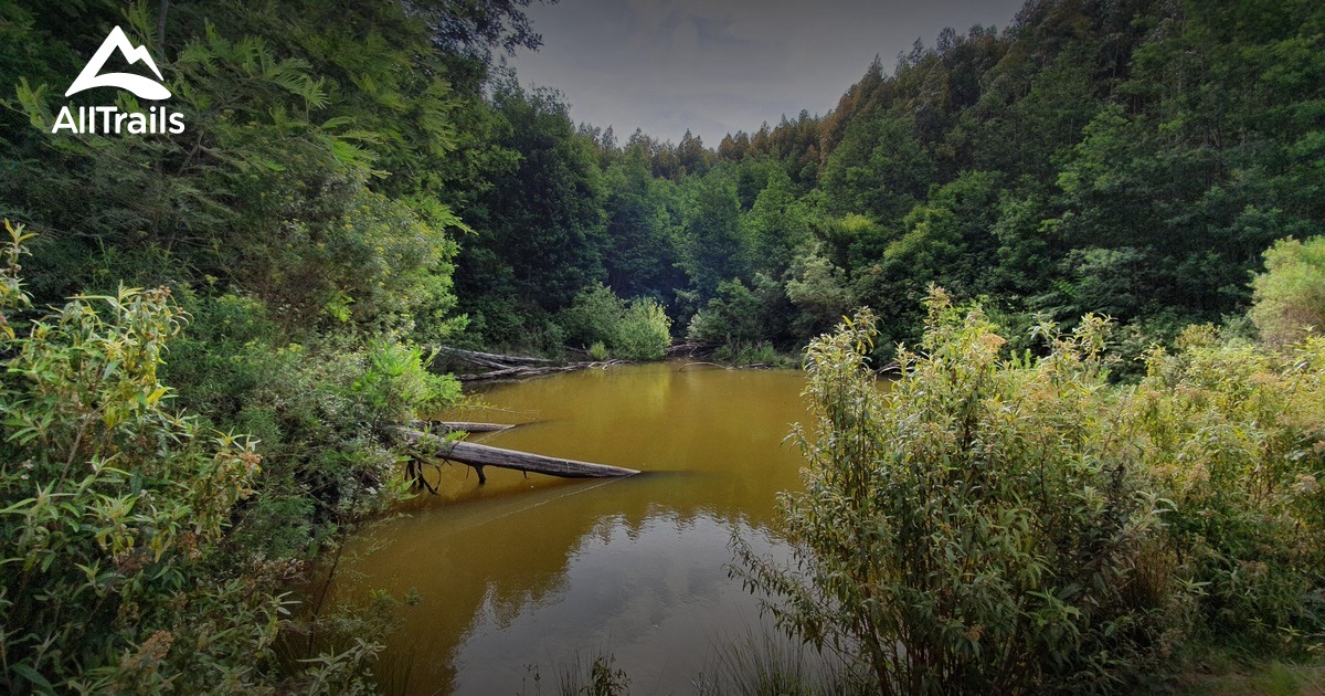 Best hikes and trails in Ferndale | AllTrails
