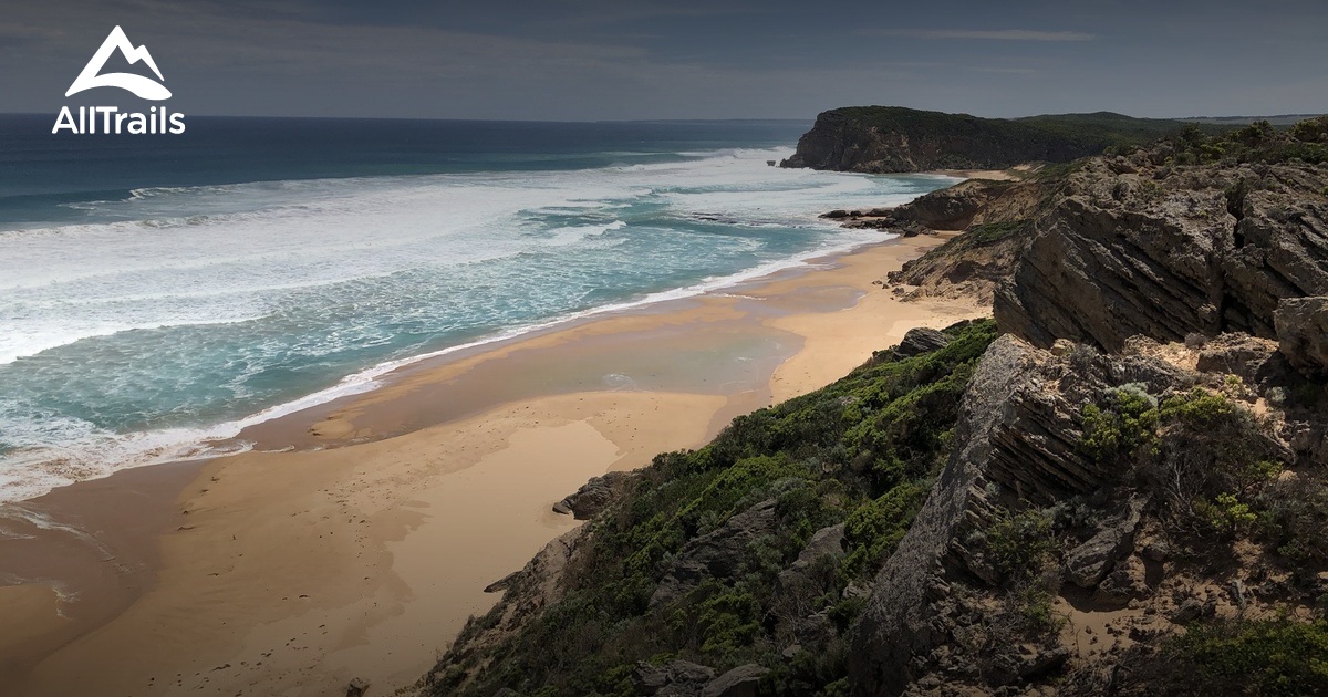 Best Forest Trails in Gellibrand Lower | AllTrails