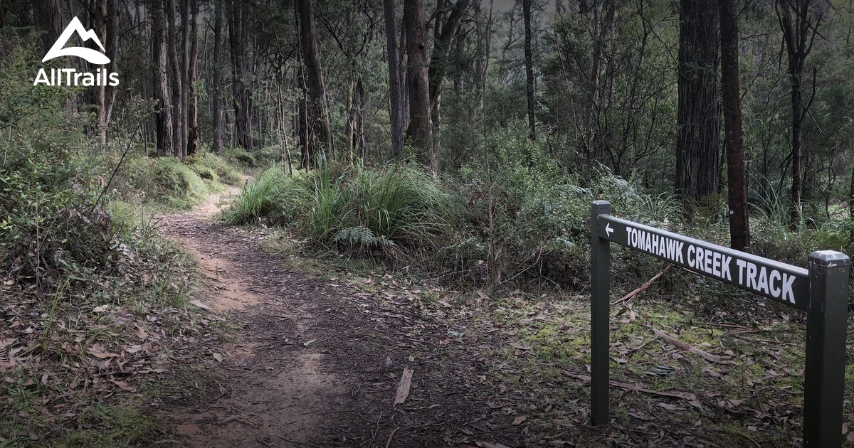 10 Best walking trails in Gembrook | AllTrails