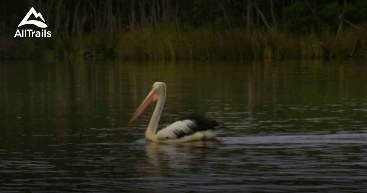 Best hikes and trails in Gipsy Point | AllTrails