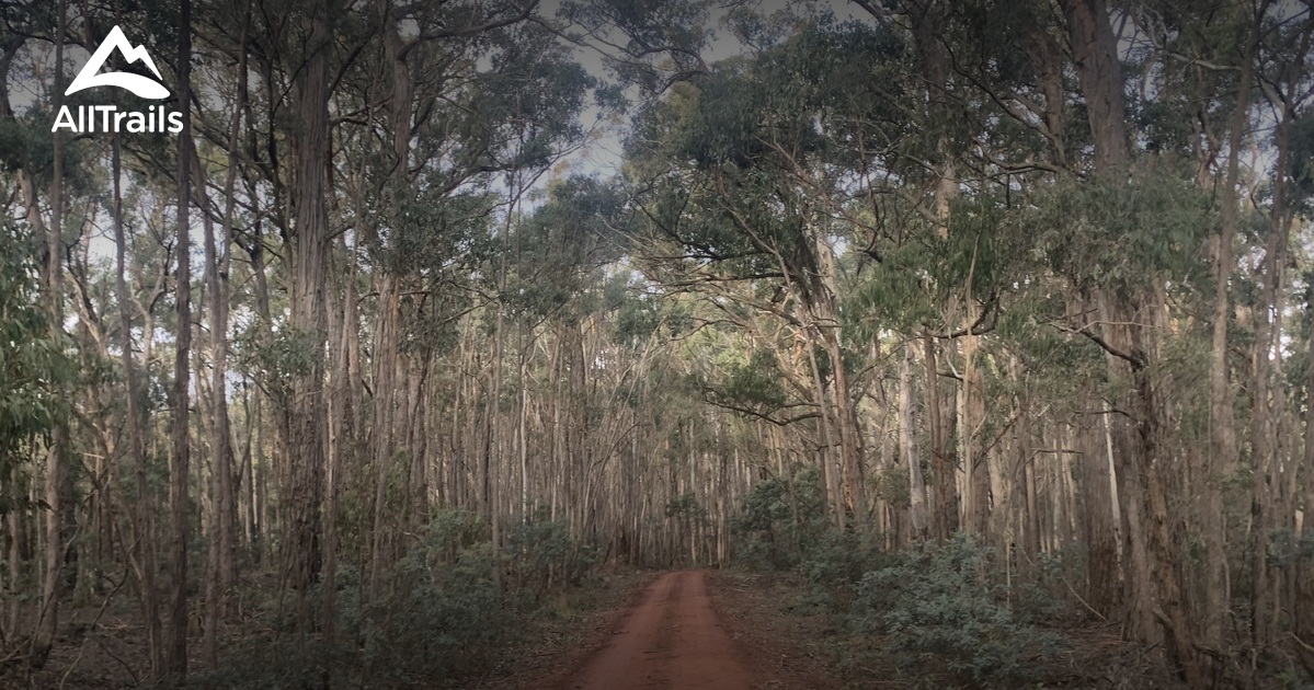 Best waterfall trails in Glenlyon | AllTrails