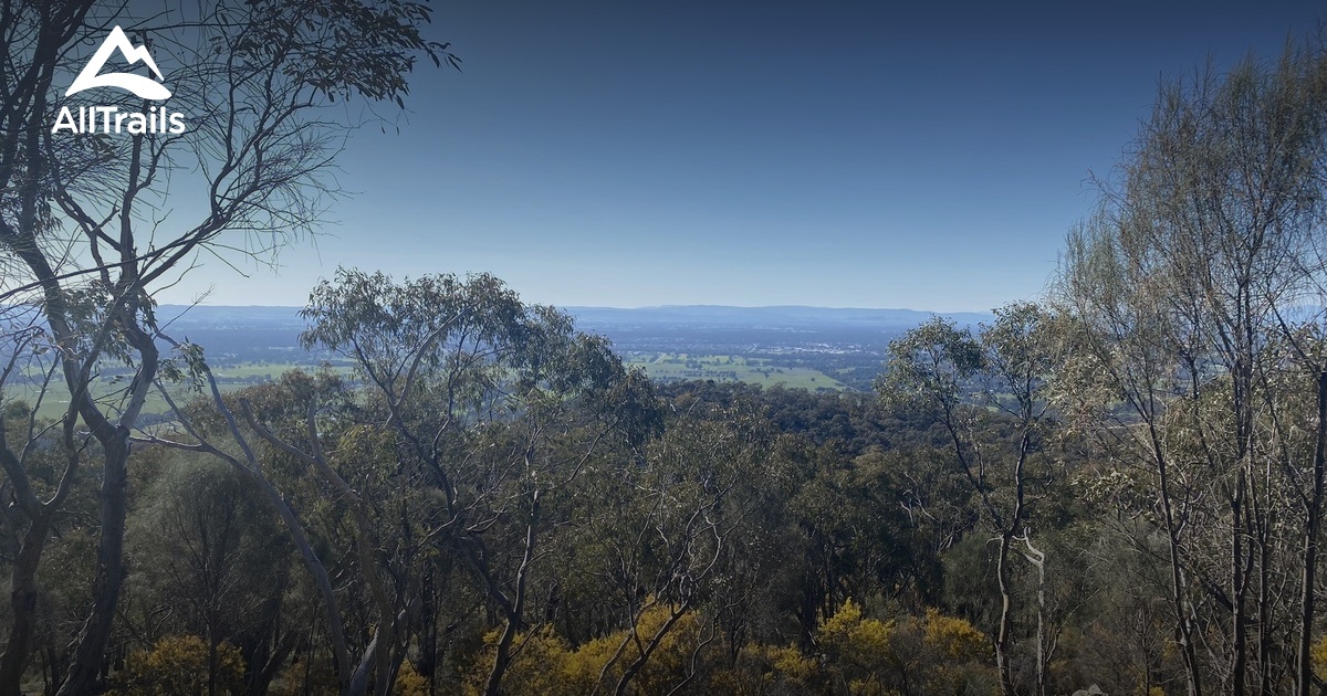 Best hikes and trails in Glenrowan - North | AllTrails