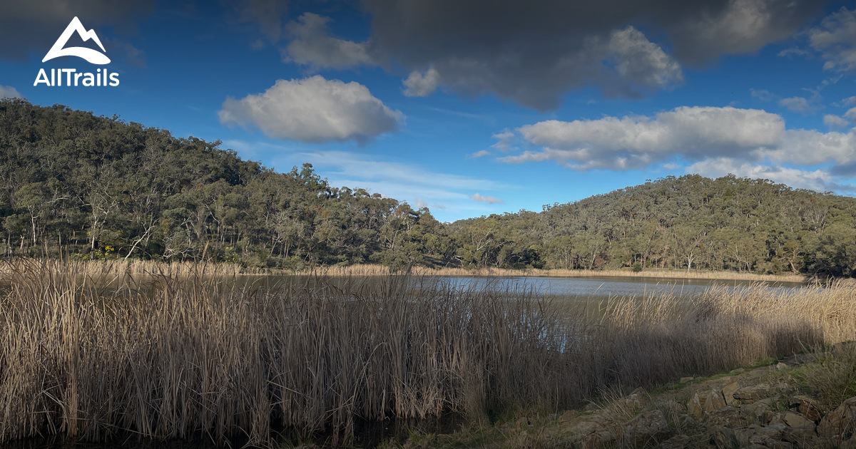 Best hikes and trails in Golden Point | AllTrails