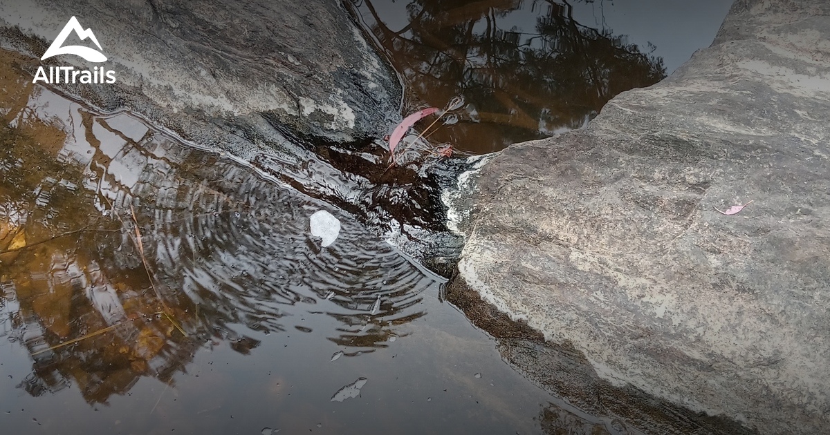 Best hikes and trails in Guildford | AllTrails