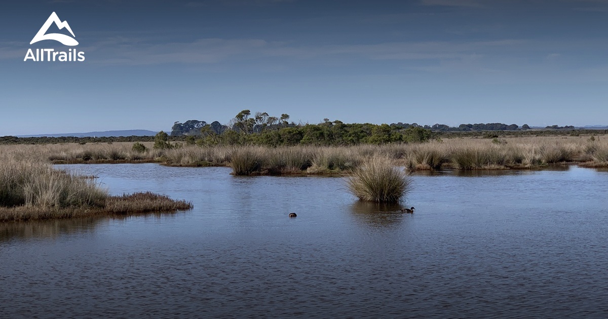 Best hikes and trails in Hastings | AllTrails