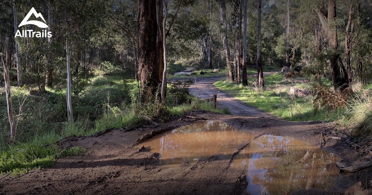 Best hikes and trails in Howqua | AllTrails