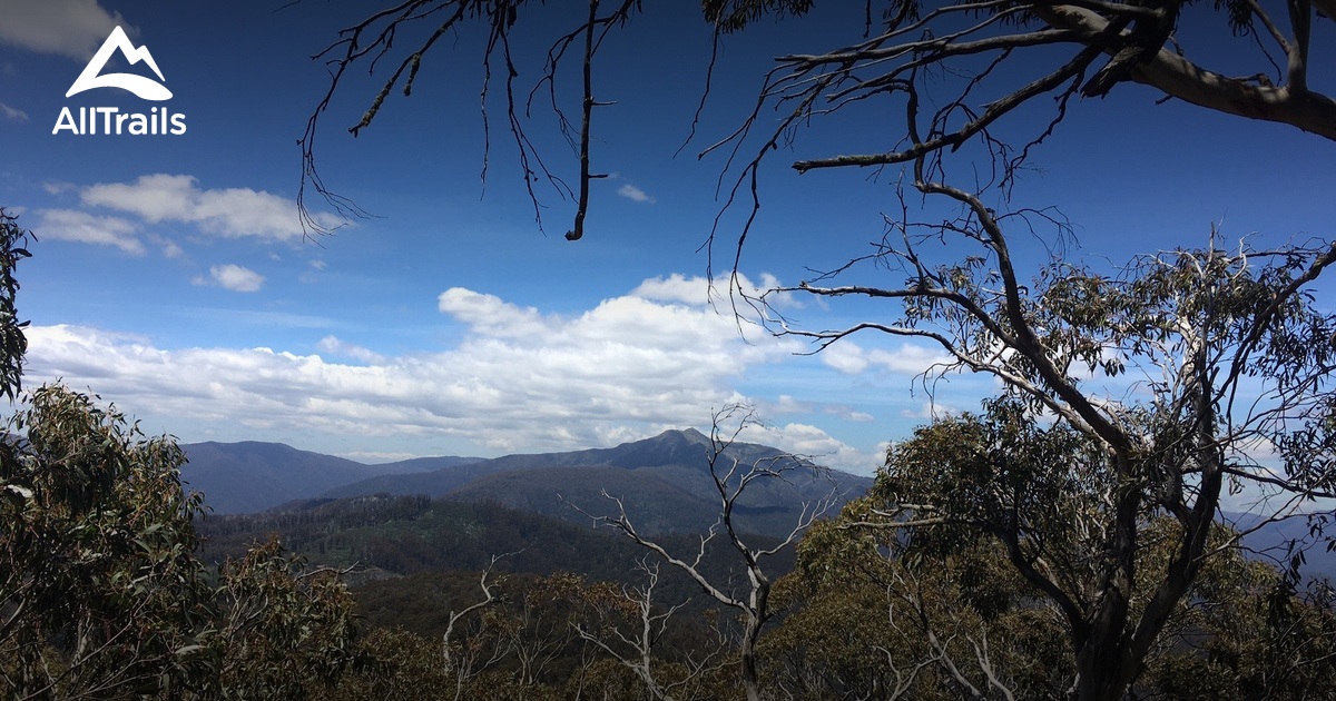 Best hikes and trails in Howqua Hills | AllTrails