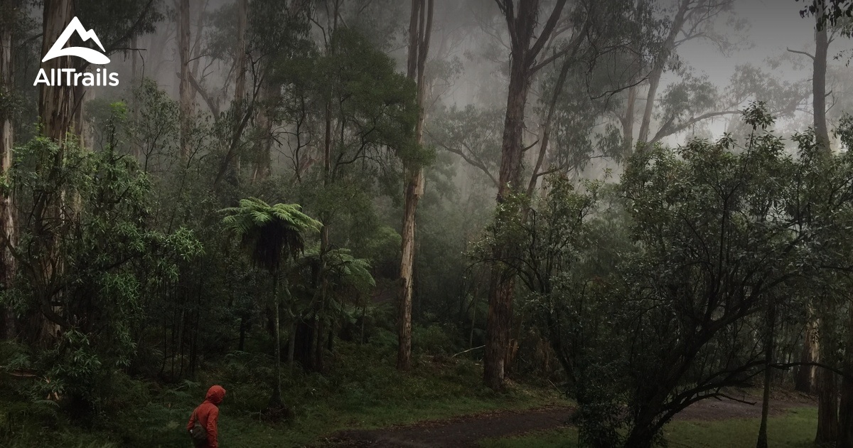 Best hikes and trails in Kallista | AllTrails