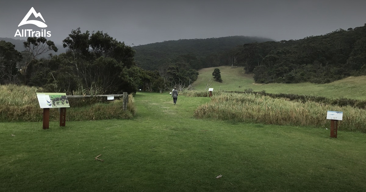 Best hikes and trails in Kennett River | AllTrails