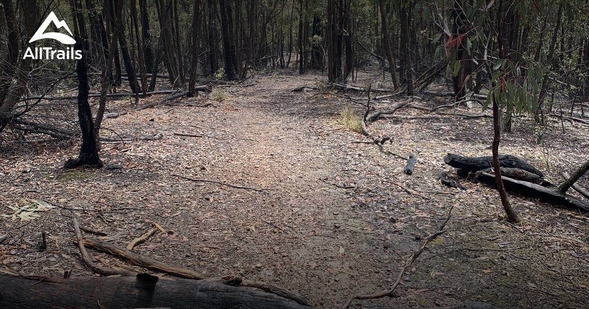 Best waterfall trails in Kinglake | AllTrails