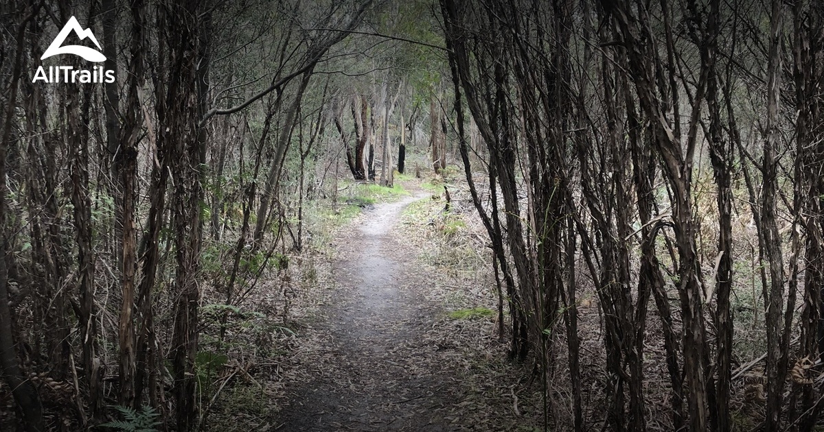 Best forest trails in Langwarrin | AllTrails