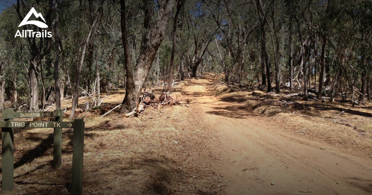 Best forest trails in Leneva | AllTrails