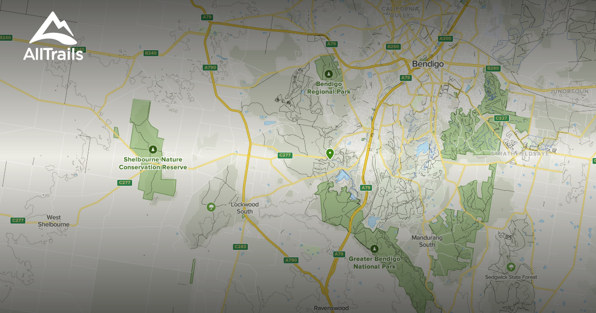 Best forest trails in Lockwood | AllTrails