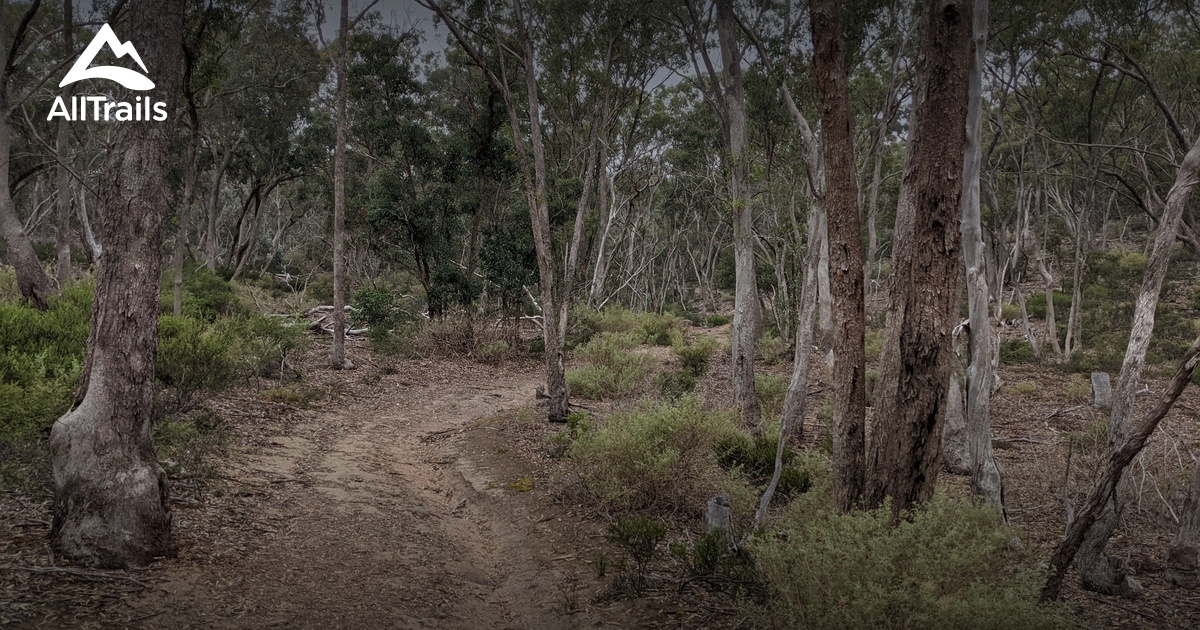 10 Best trails and hikes in Long Forest | AllTrails