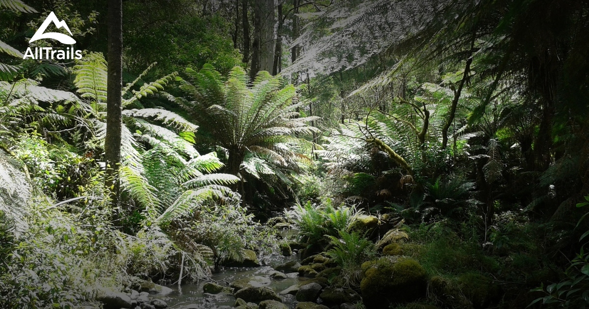 Best Trails near Lorne, Victoria Australia | AllTrails