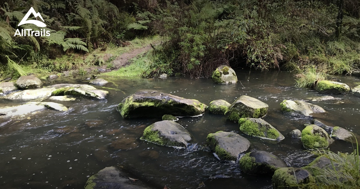 10 Best walking trails in Lorne | AllTrails