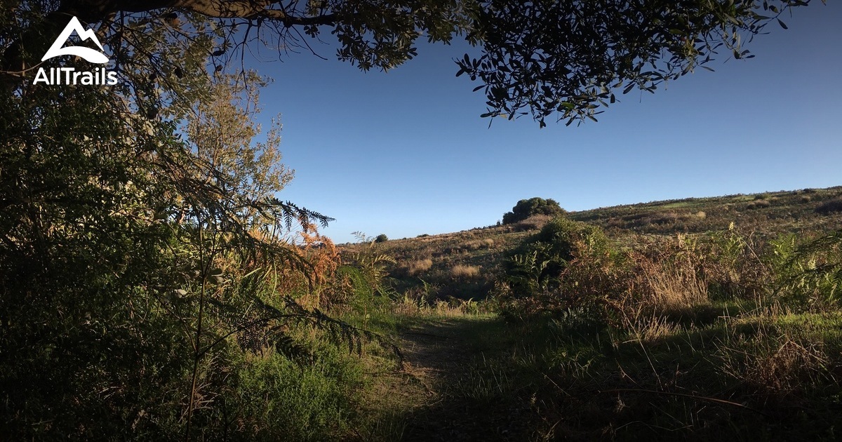 Best Trails near Main Ridge, Victoria Australia | AllTrails