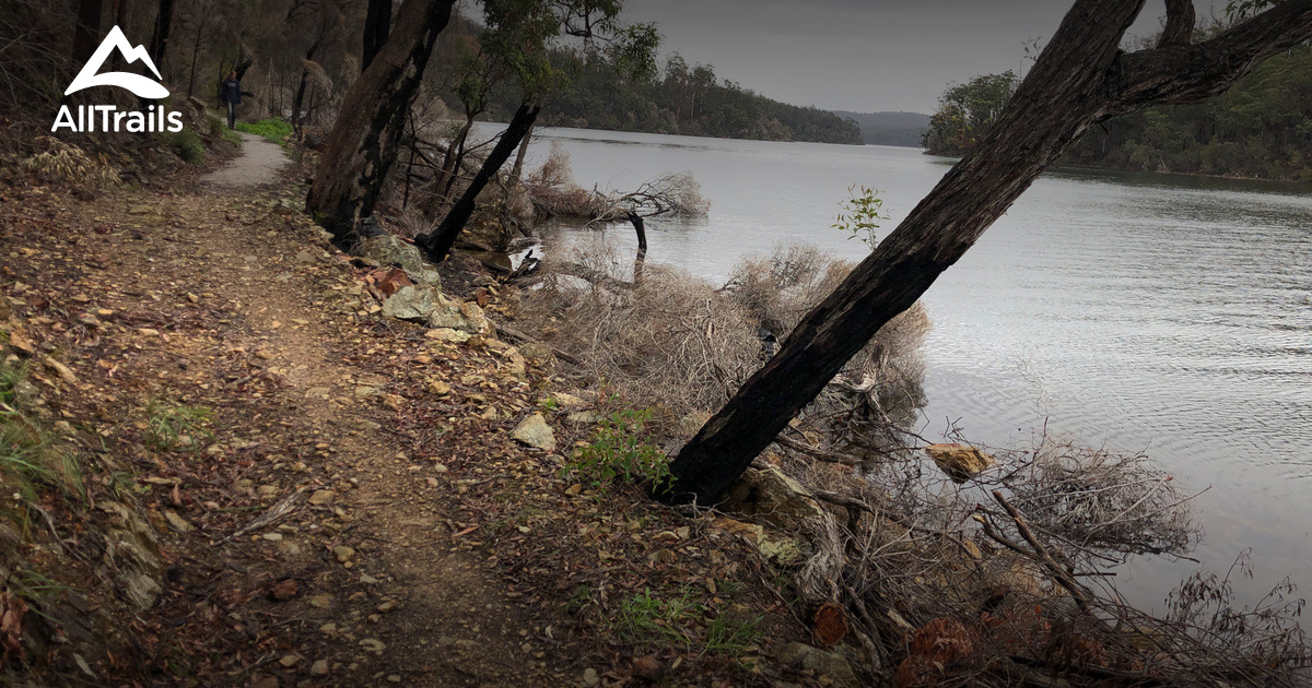 10 Best trails and hikes in Mallacoota | AllTrails