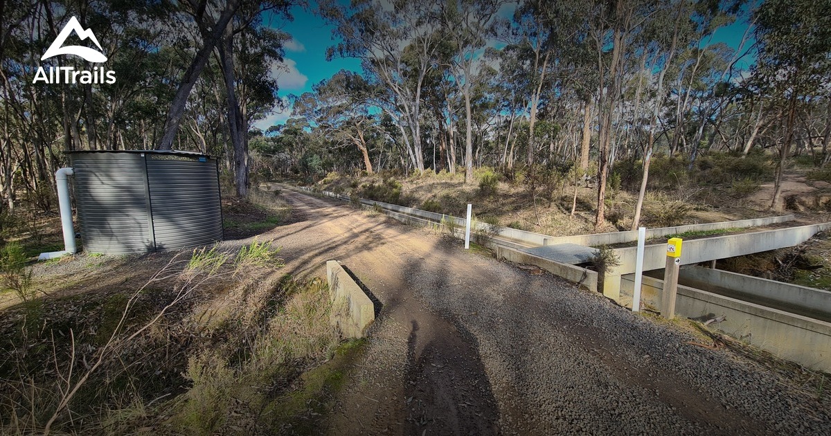 Best forest trails in Mandurang | AllTrails