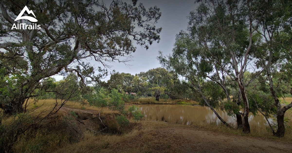 Best hikes and trails in Mickleham | AllTrails