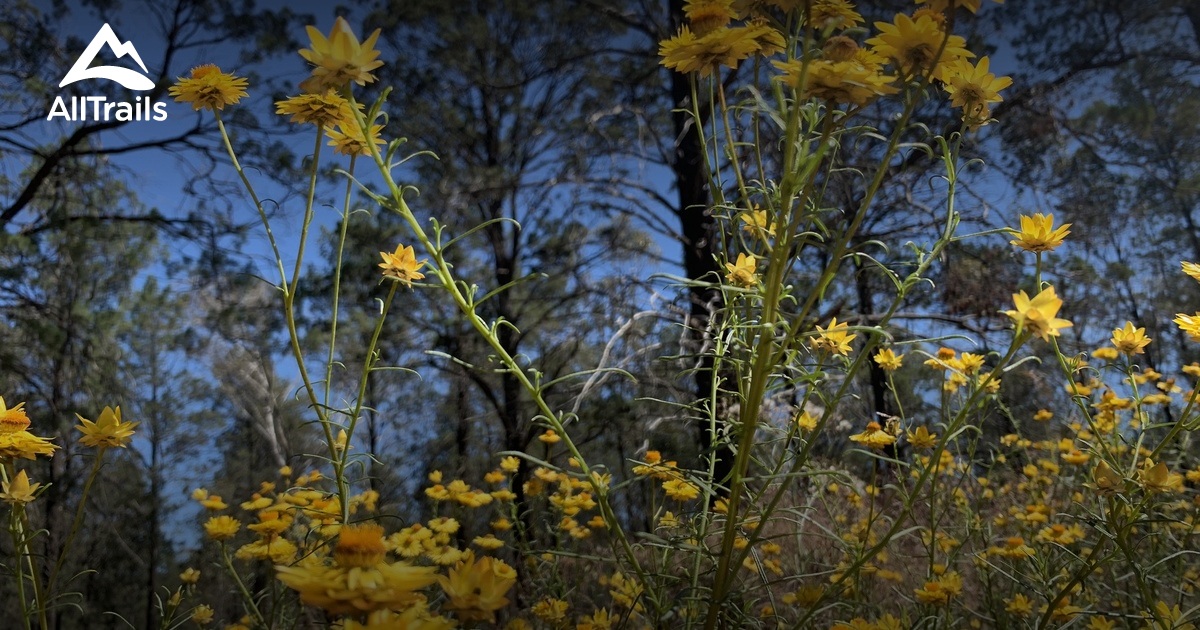 Best hikes and trails in Mitiamo | AllTrails