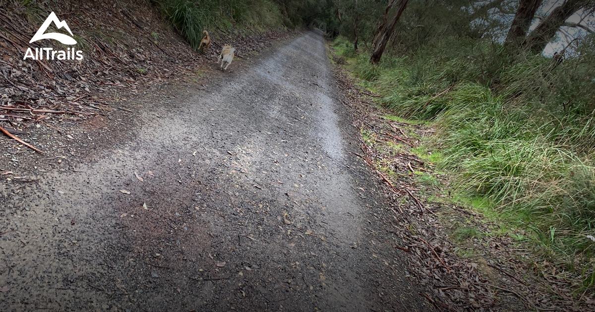 Best walking trails in Moe | AllTrails