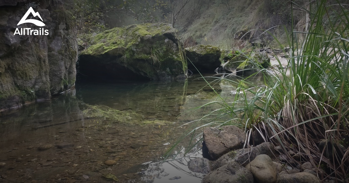 Best Trails near Mount Beauty - Tawonga South, Victoria Australia ...