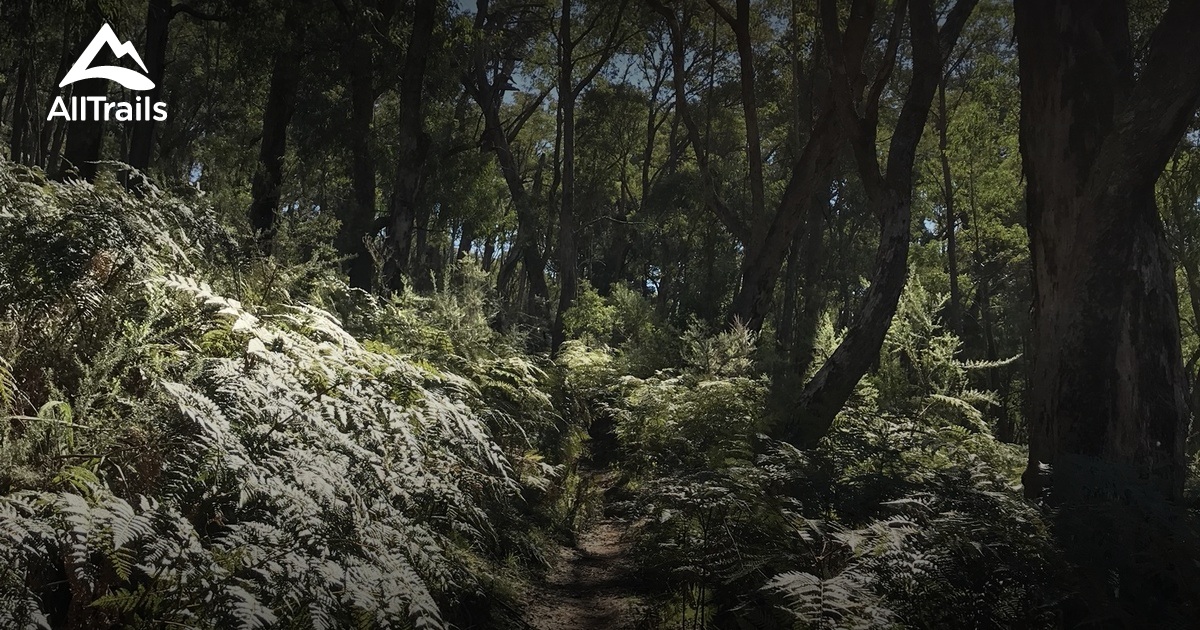 10 Best trails and hikes in Mount Buffalo | AllTrails
