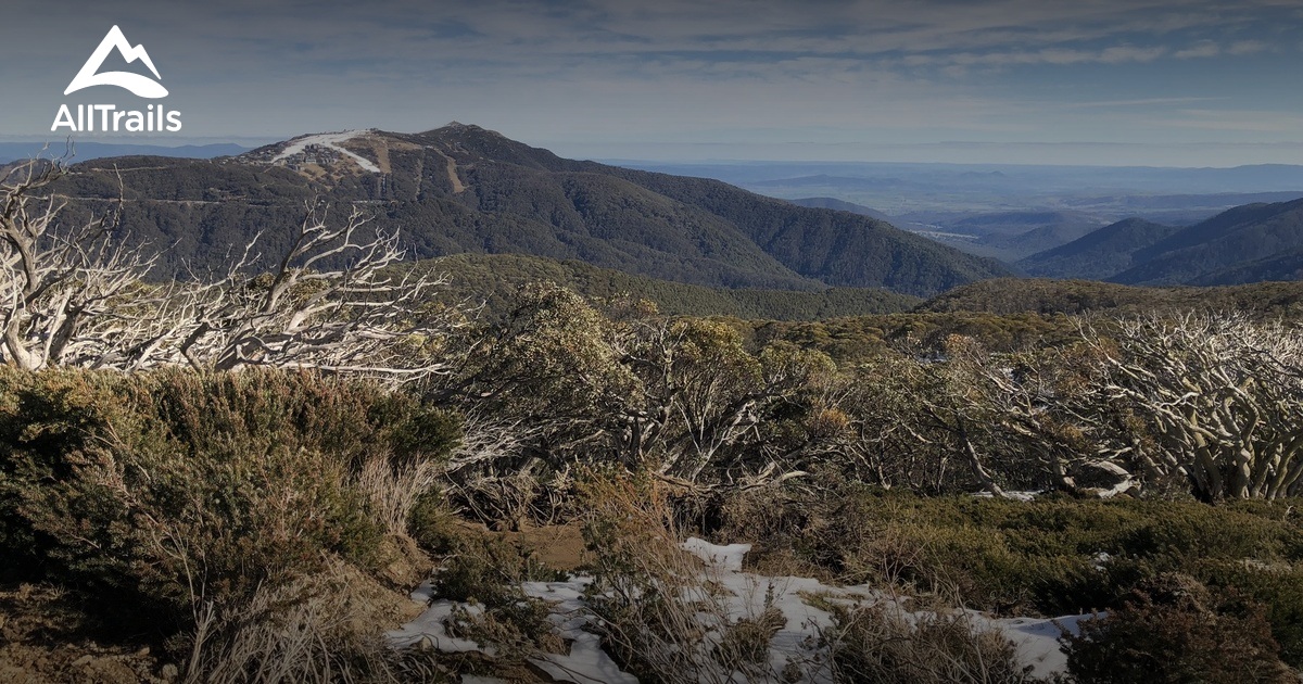 10 Best trails and hikes in Mount Buller | AllTrails