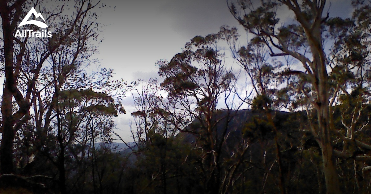 Best camping trails in Mount Cole | AllTrails