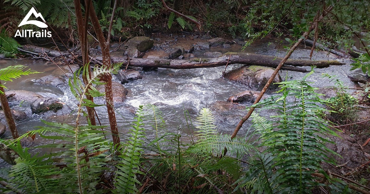 Najlepsze szlaki widokowe w: Mount Evelyn | AllTrails
