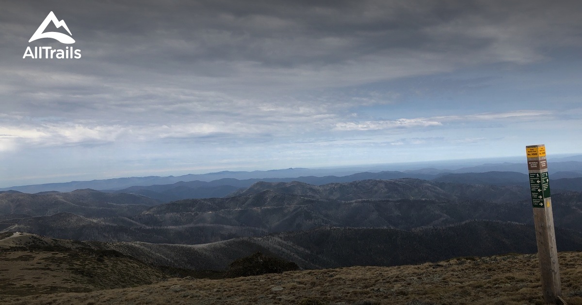 Best Trails near Mount Hotham, Victoria Australia | AllTrails