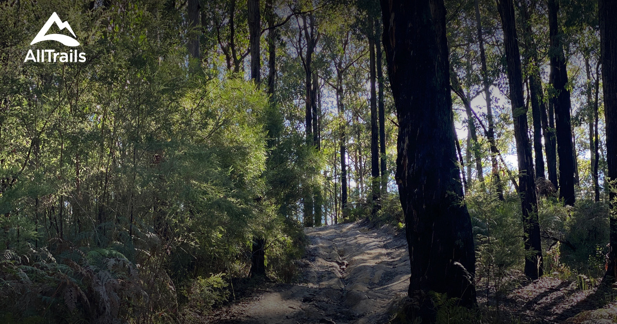 Best long trails in Neerim South | AllTrails