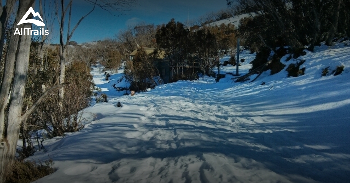 Best forest trails in Nelse | AllTrails