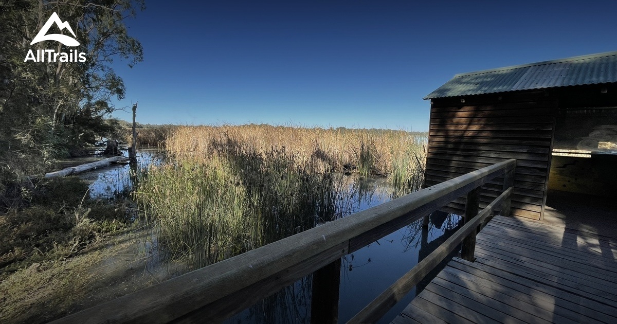 Best hikes and trails in Nichols Point | AllTrails