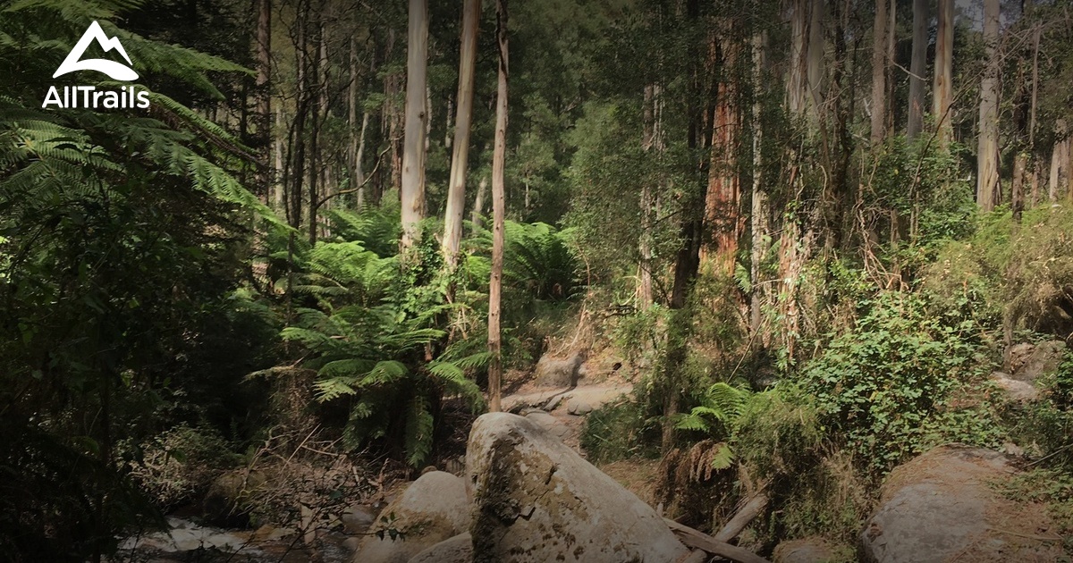 Best Trails near Noojee, Victoria Australia | AllTrails