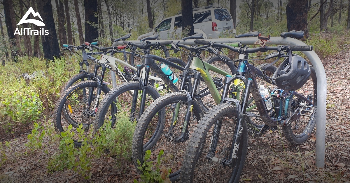 Best Wild Flowers Trails in Nowa Nowa | AllTrails