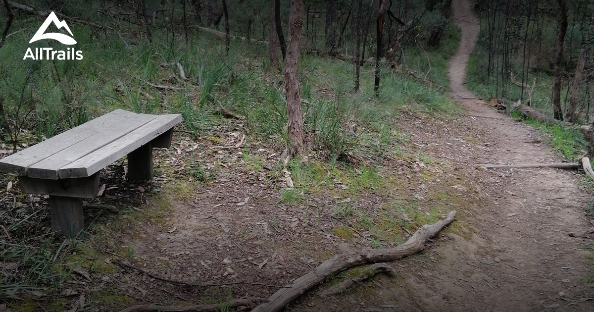 Panton Hill: as melhores trilhas moderadas | AllTrails