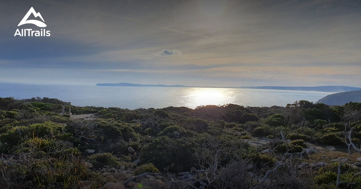 10 Best trails and hikes in Portland West | AllTrails