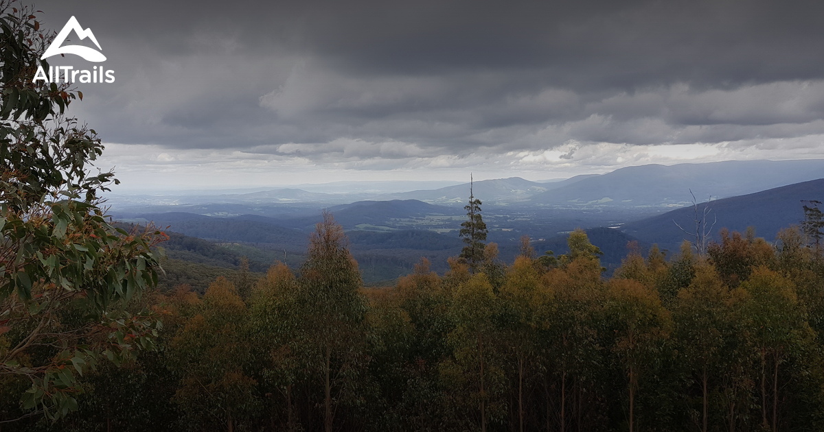 Best hikes and trails in Powelltown | AllTrails