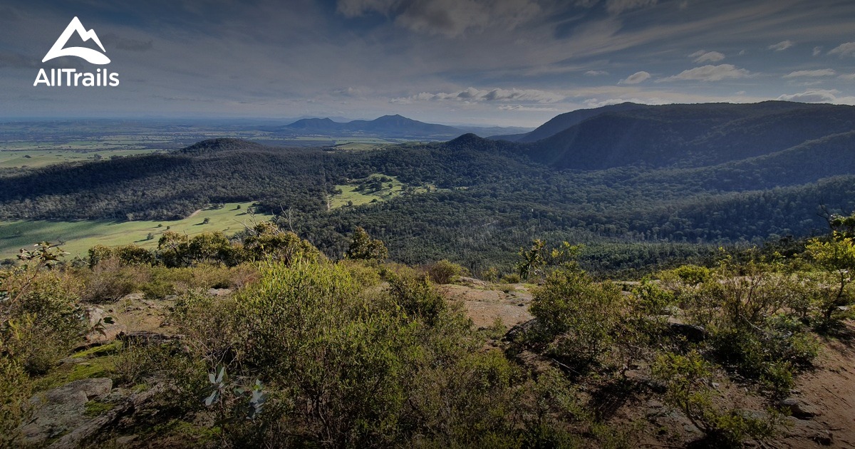 Best waterfall trails in Raglan | AllTrails