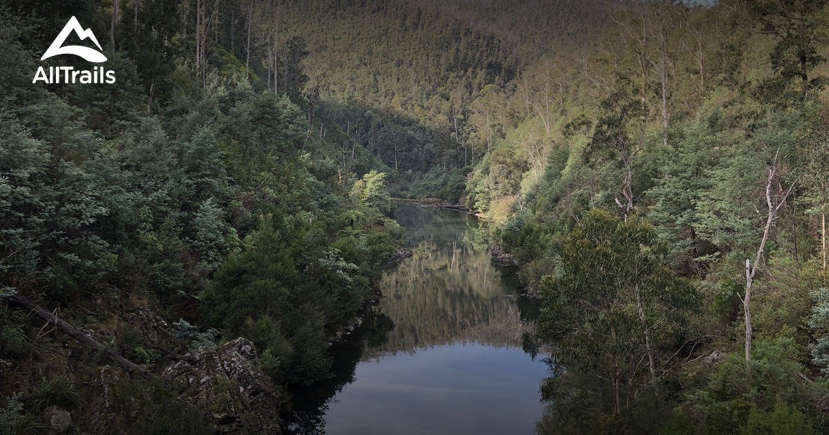 Best trails in Rawson, Victoria | AllTrails