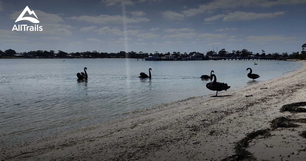 Best hikes and trails in Raymond Island | AllTrails