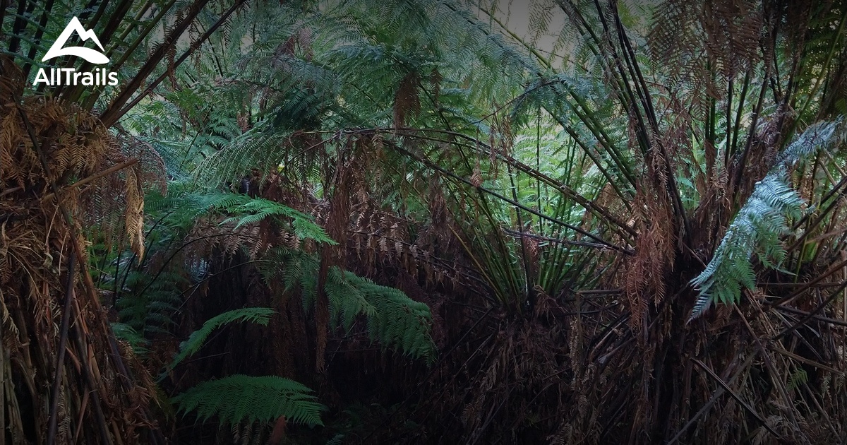 Best hikes and trails in Red Hill | AllTrails