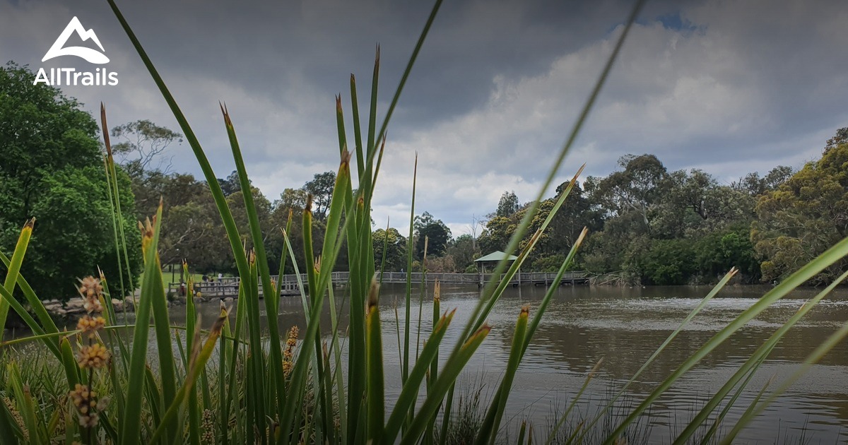 Best hikes and trails in Ringwood | AllTrails